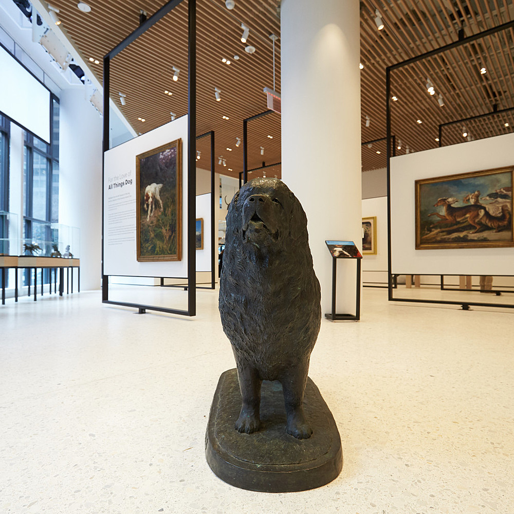 Space For Arts - Museum of the Dog